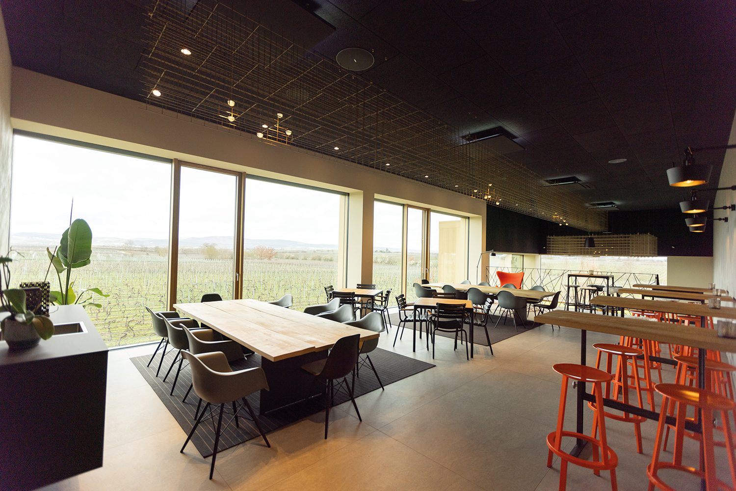 VVR Bank Kur- und Rheinpfalz: Impulsgeber und Möglichmacher